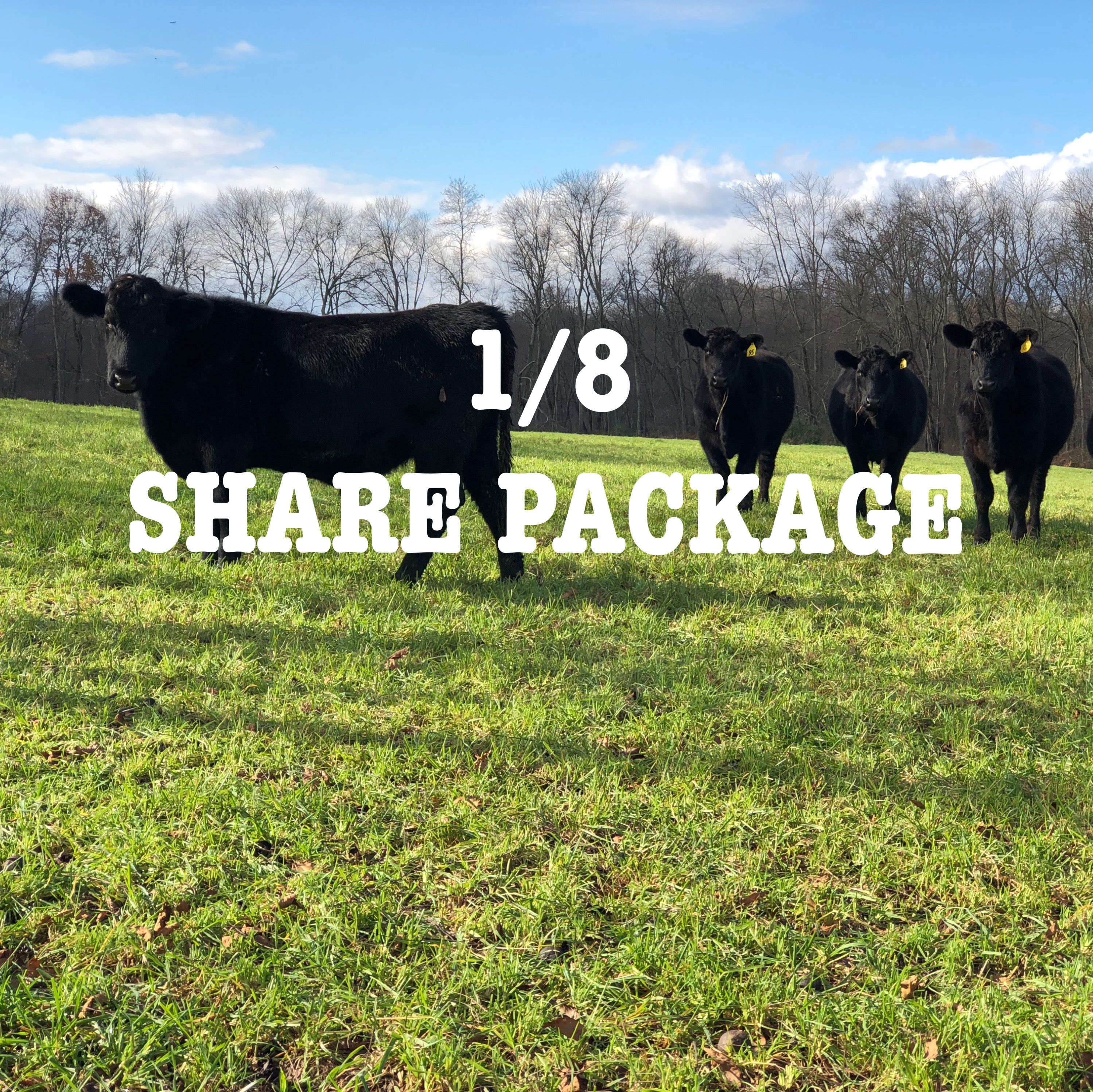1/8 Heritage Beef Package – Evermore Farm